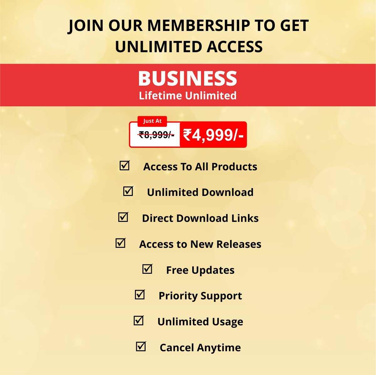 Business (Lifetime Membership) - DigiBundles